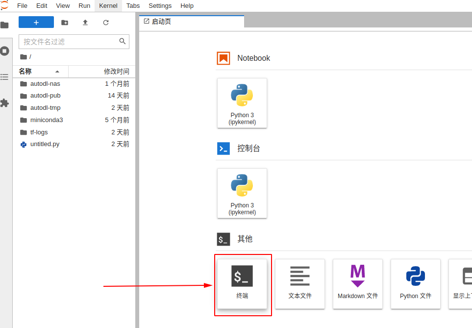 SERVER - LHAI User Manual